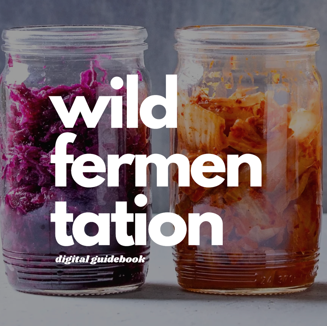 Fermentation 101 Digital Guidebook – DIG + CO.