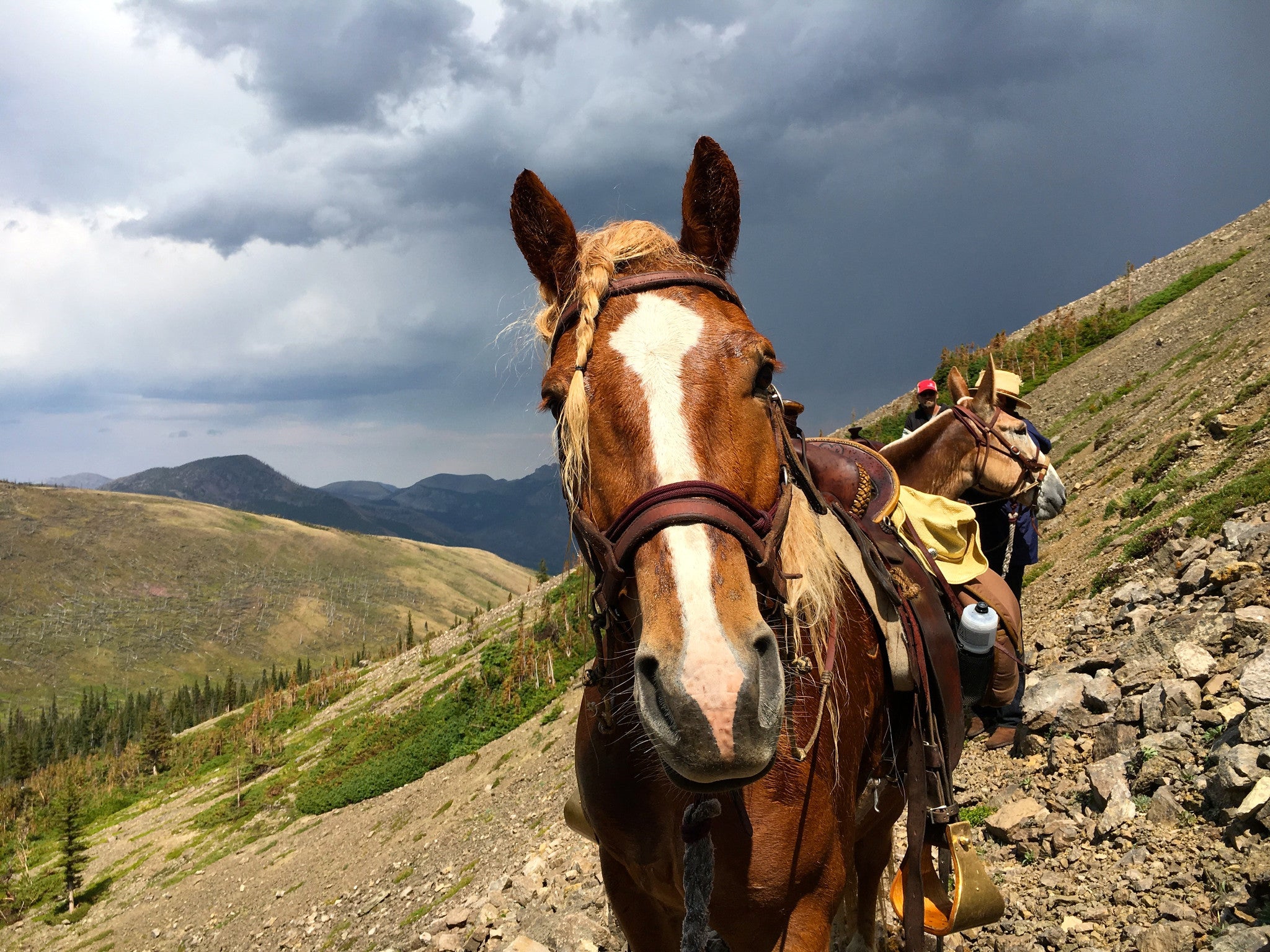 Into the Great Wide Open – DIG + CO.